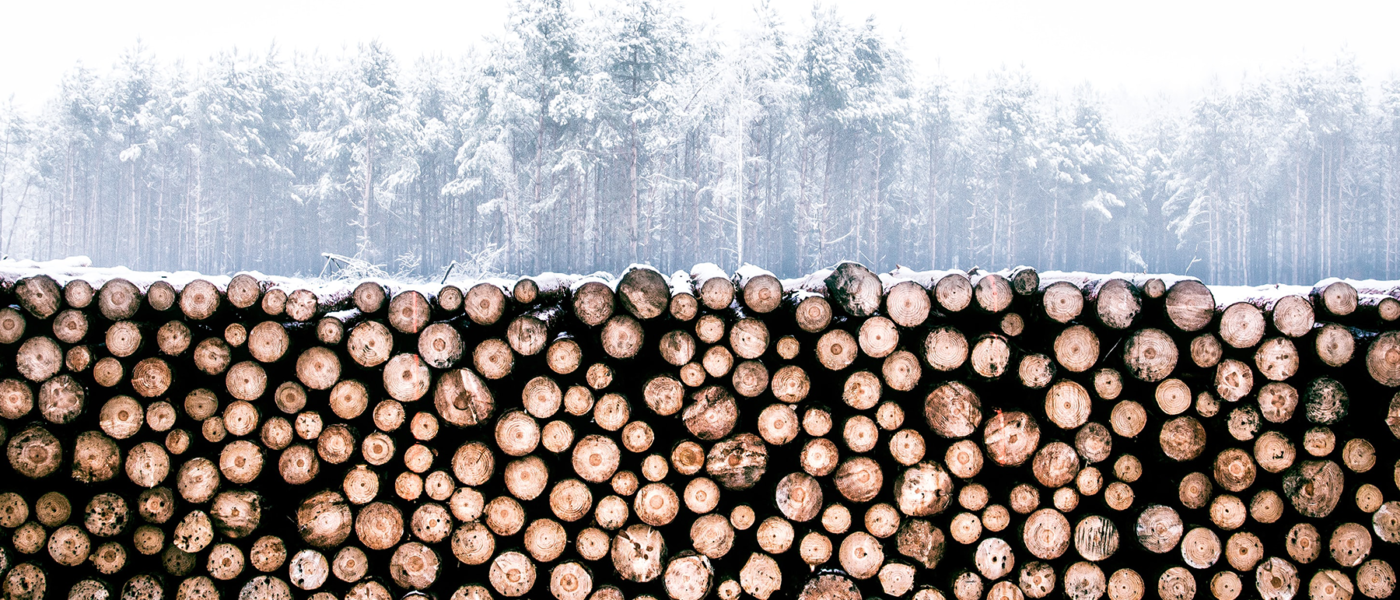 5 Great Reasons to Store and Analyze Centralized Logs