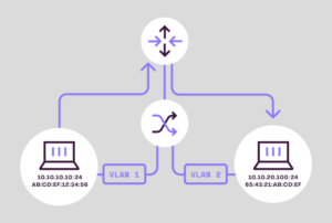 Layer 2 vs Layer 3 Switch: What's the Difference? | Auvik